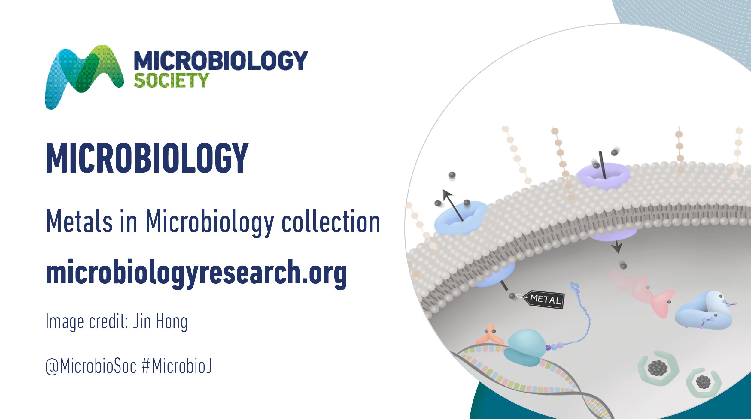 Metals in Microbiology collection – Djoko Lab